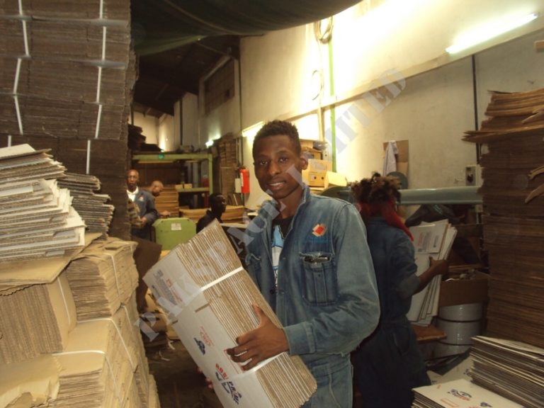 Carton Manufacturers | Carton Trays, Export Flower & Chick Boxes ...